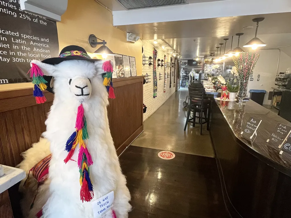 Messiah's Personal Website